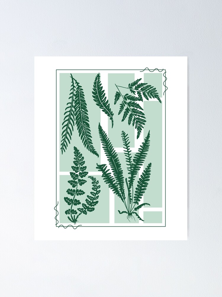 "Ferns" Poster for Sale by DerSenat | Redbubble