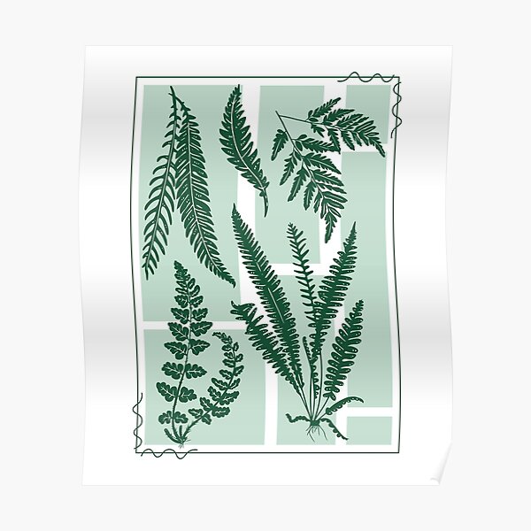 "Ferns" Poster for Sale by DerSenat | Redbubble