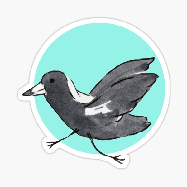 "Magpie " Sticker for Sale by Water-and-Paint | Redbubble