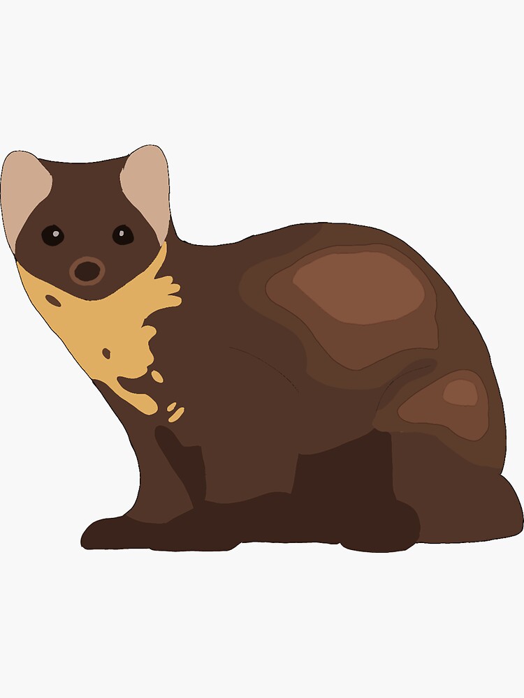"Yellow Bellied Weasel" Sticker for Sale by zoocuties | Redbubble