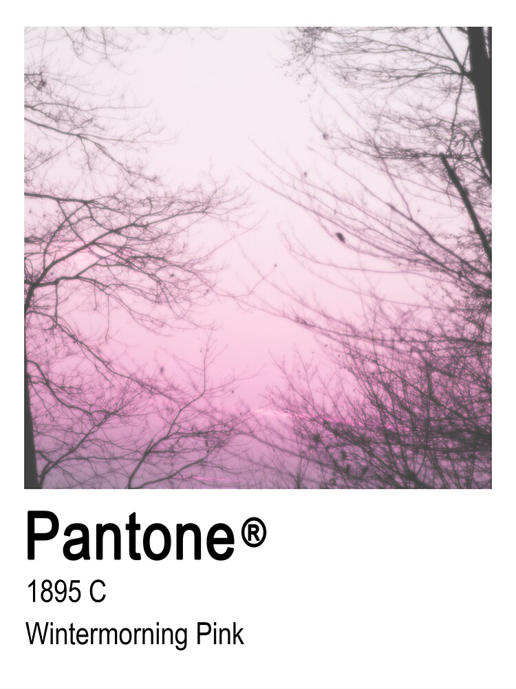 "Pantone Winter Morning Pink" Sticker for Sale by CameraO | Redbubble
