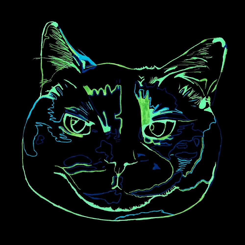 "Torti Cat " by RaLiz | Redbubble