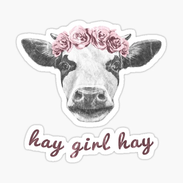 "Cow Mooey Hay Girl Hay Pretty Heifer Classic Cows Heifer Daisy Cattle ...
