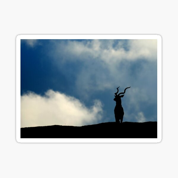 "Moody Landscape with Kudu" Sticker for Sale by SimonWicks | Redbubble