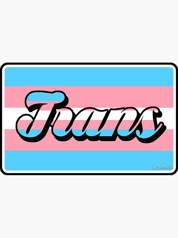 "Trans sticker" Sticker by Lucieniibi | Redbubble