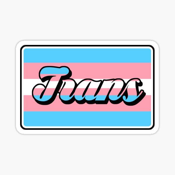 "Trans sticker" Sticker by Lucieniibi | Redbubble