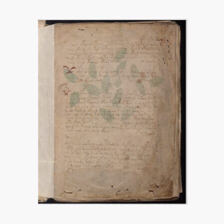 "Voynich manuscript book cover Illustrated codex hand-written in an ...