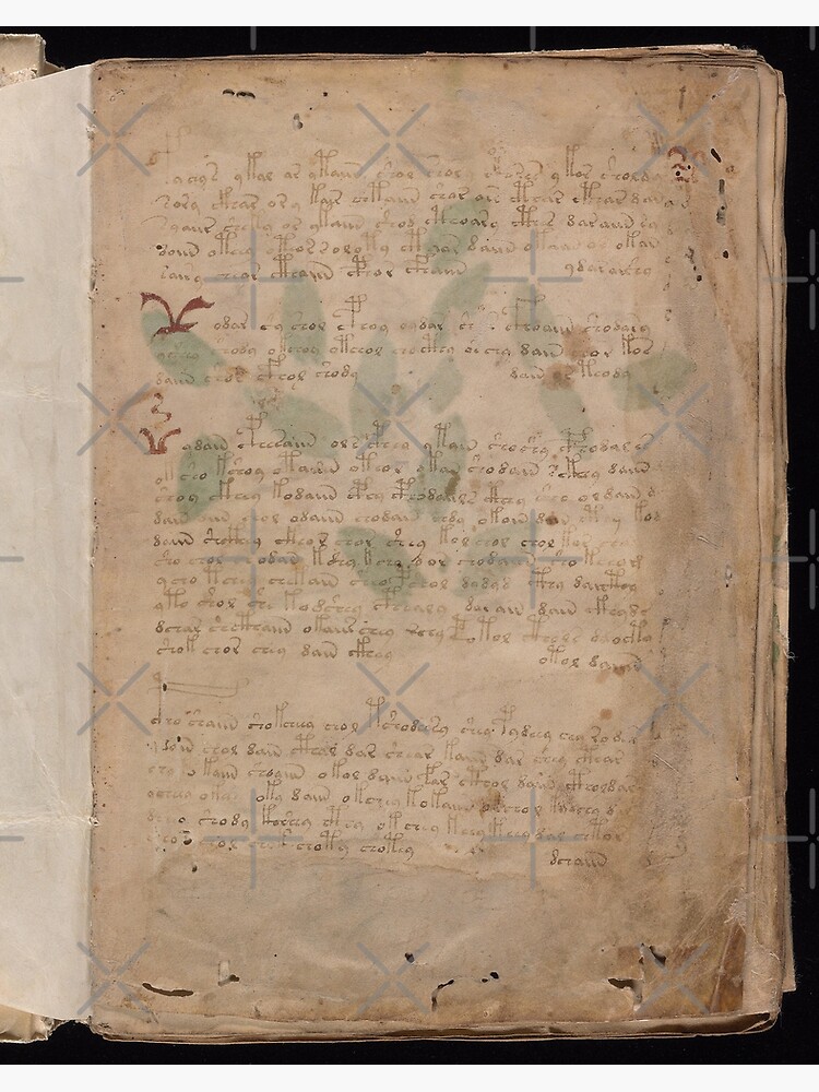 "Voynich manuscript book cover Illustrated codex hand-written in an ...