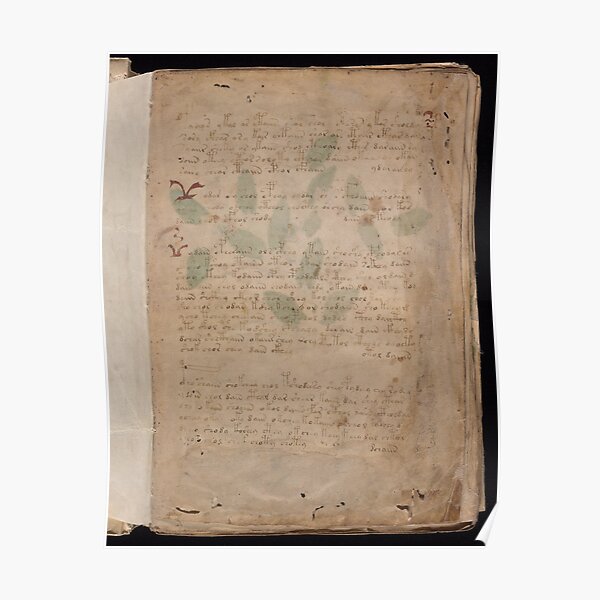 "Voynich manuscript book cover Illustrated codex hand-written in an ...