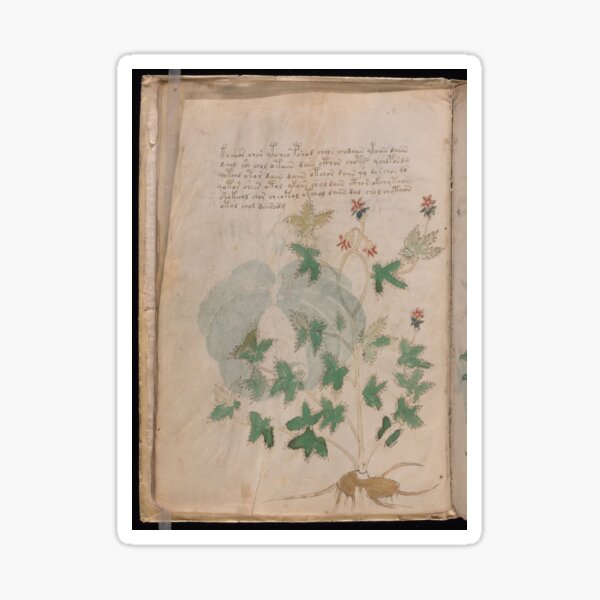 "Voynich manuscript book cover Illustrated codex green leaf and flower ...