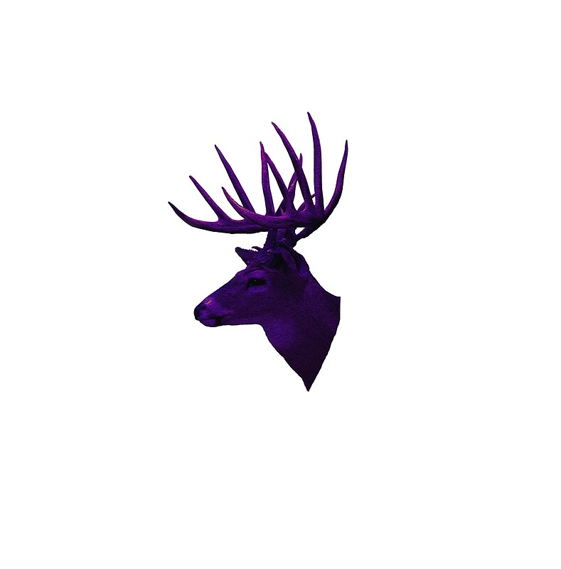 "Purple Stag" by lyndseyart | Redbubble