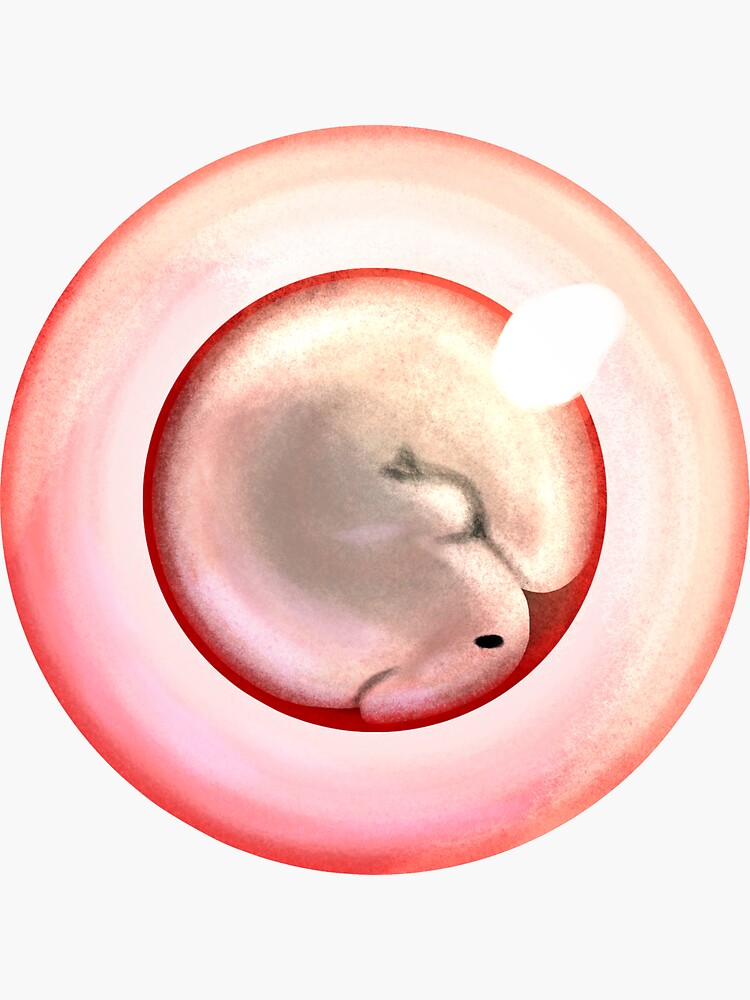 "Slug Cat Egg (red)" Sticker for Sale by MonokromeDemon | Redbubble