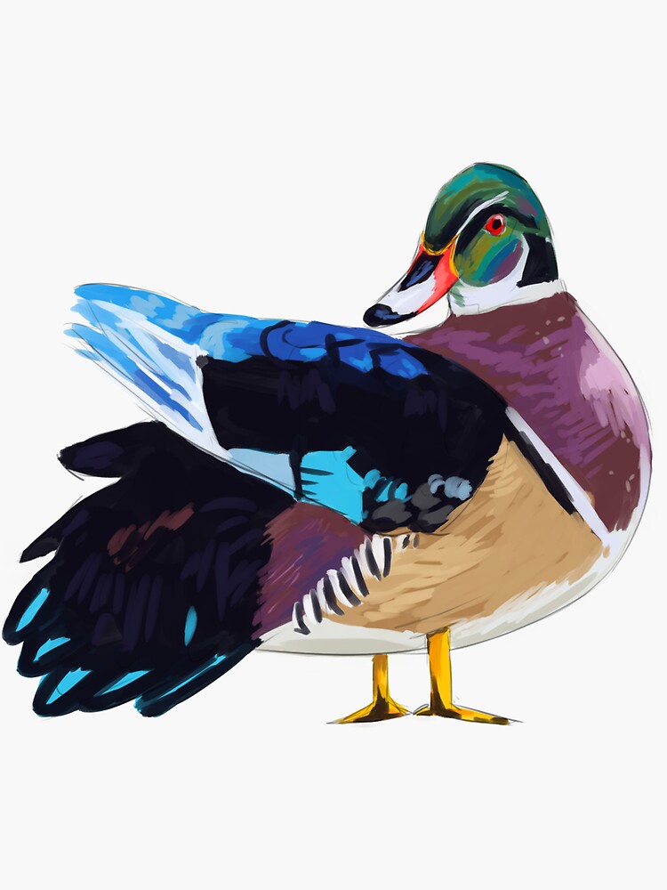 "Wood Duck" Sticker for Sale by pidgezz | Redbubble