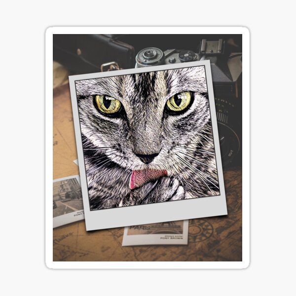 "cute cat picture" Sticker for Sale by NARUTO-UZ | Redbubble