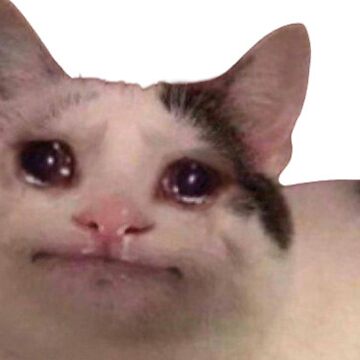 "so sad so crying cat" Sticker for Sale by muddycatpaws | Redbubble