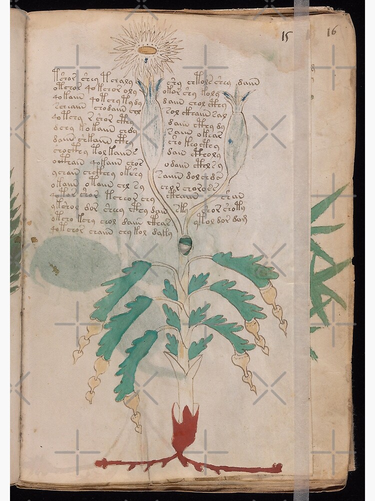 "Voynich manuscript book - manuscript old book vintage - mysterious ...