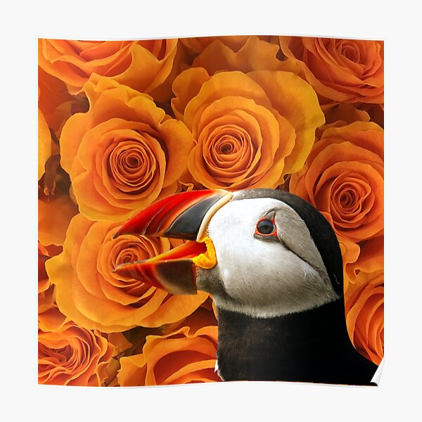 "Puffin head" Poster for Sale by Katsivostree | Redbubble