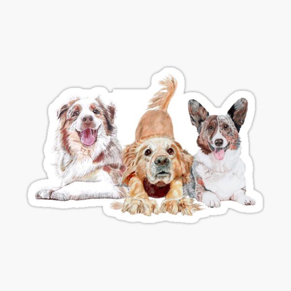 "three dog collage" Sticker for Sale by daveand65 | Redbubble