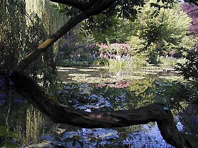 "monet garden in Givenchy, France" by chord0 | Redbubble