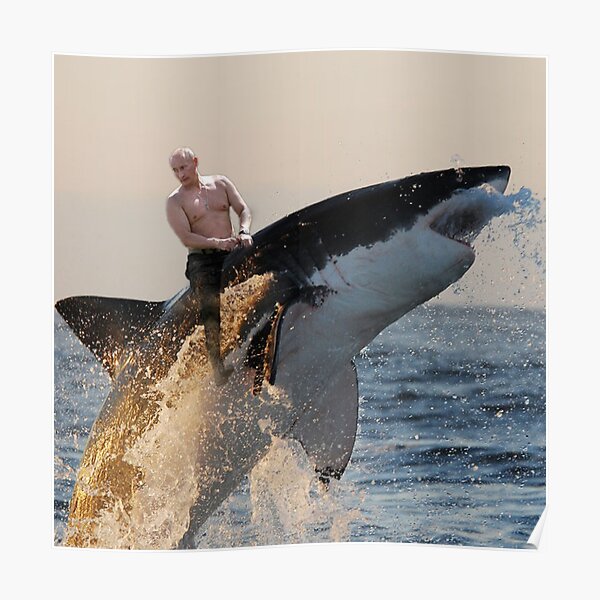 Putin Posters | Redbubble