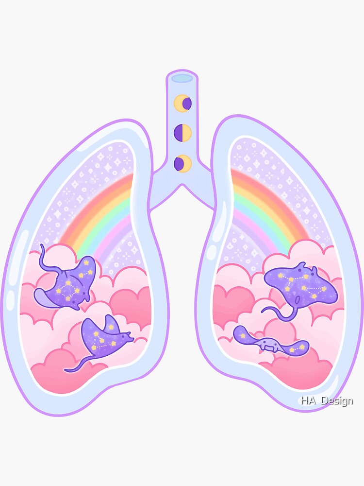 "Human anatomical lungs" Sticker for Sale by ahmedhannachi | Redbubble