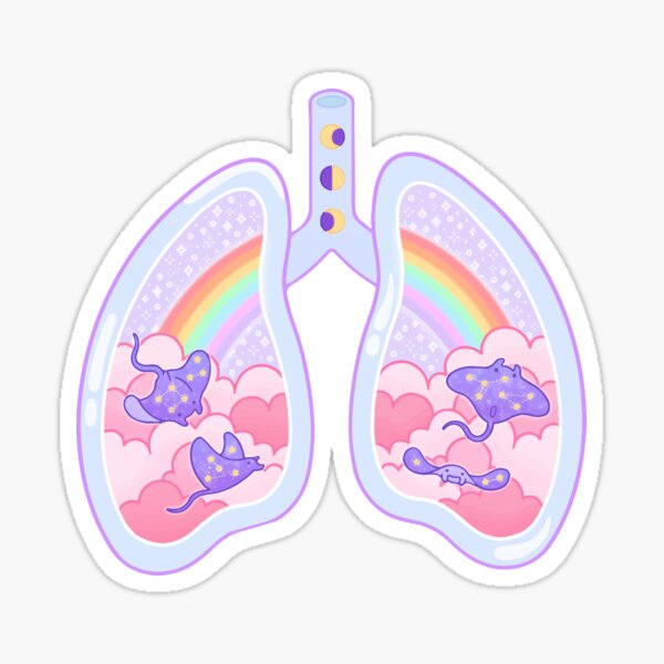 "Human anatomical lungs" Sticker for Sale by ahmedhannachi | Redbubble