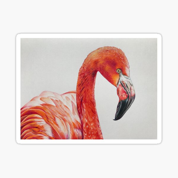 "Flamingo (side view)" Sticker for Sale by KEEart100 | Redbubble