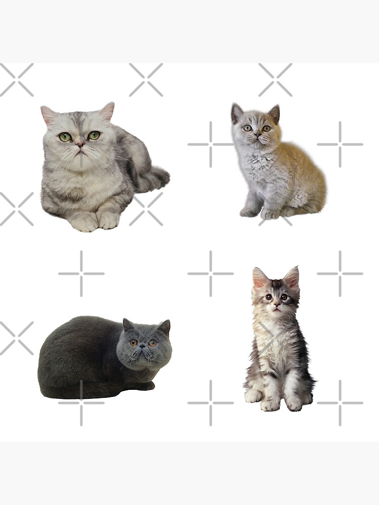 "Cute and adorable cats sticker pack" Poster for Sale by mayo-shop ...