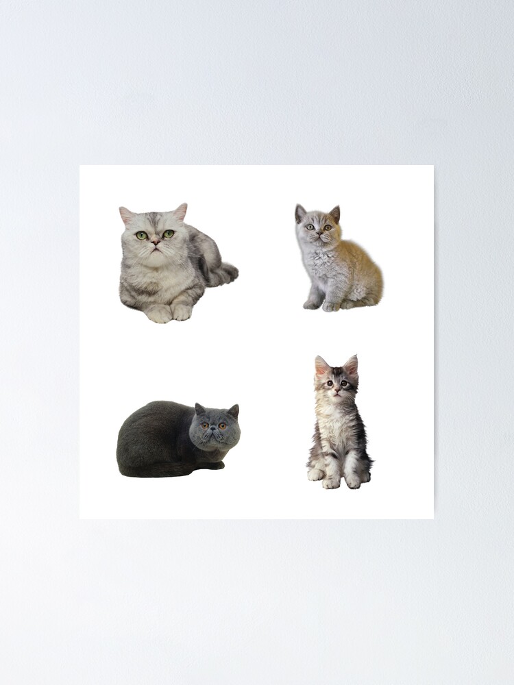 "Cute and adorable cats sticker pack" Poster for Sale by mayo-shop ...