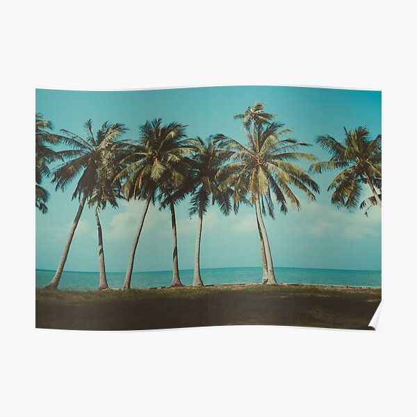 "Retro Style Palm Trees" Poster for Sale by PotluckPrints | Redbubble