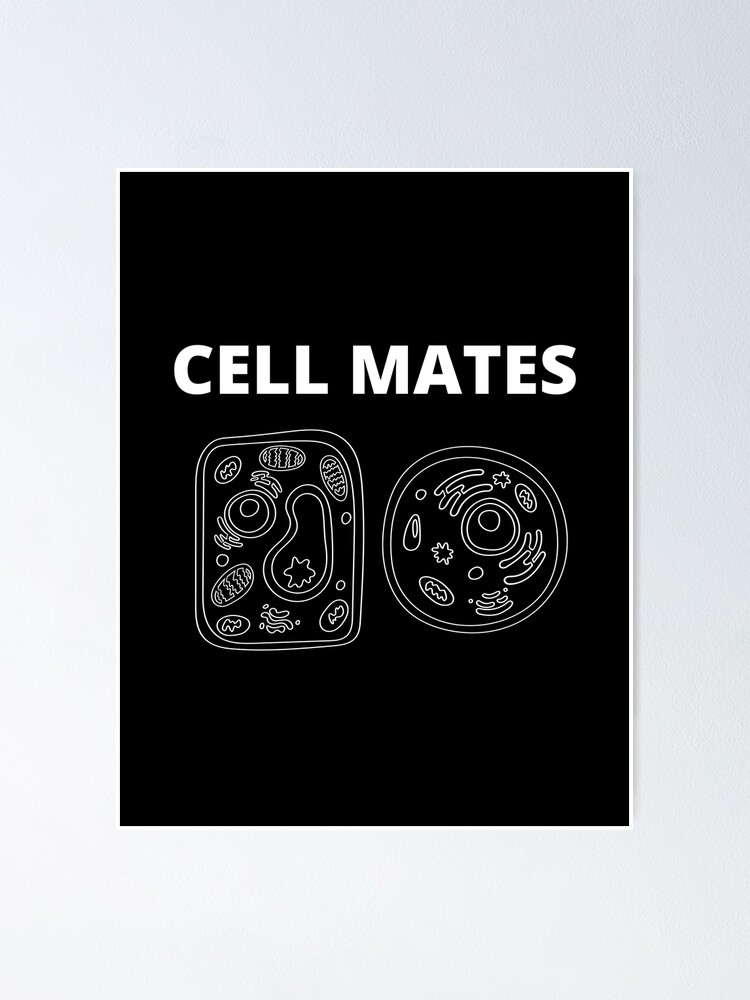 Póster «Cell Mates - Gráfico de biología (negro)» de bill-and-joan ...