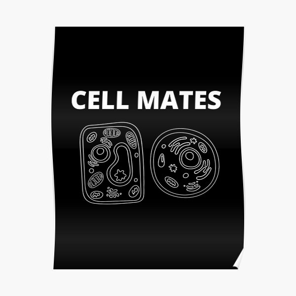 Póster «Cell Mates - Gráfico de biología (negro)» de bill-and-joan ...