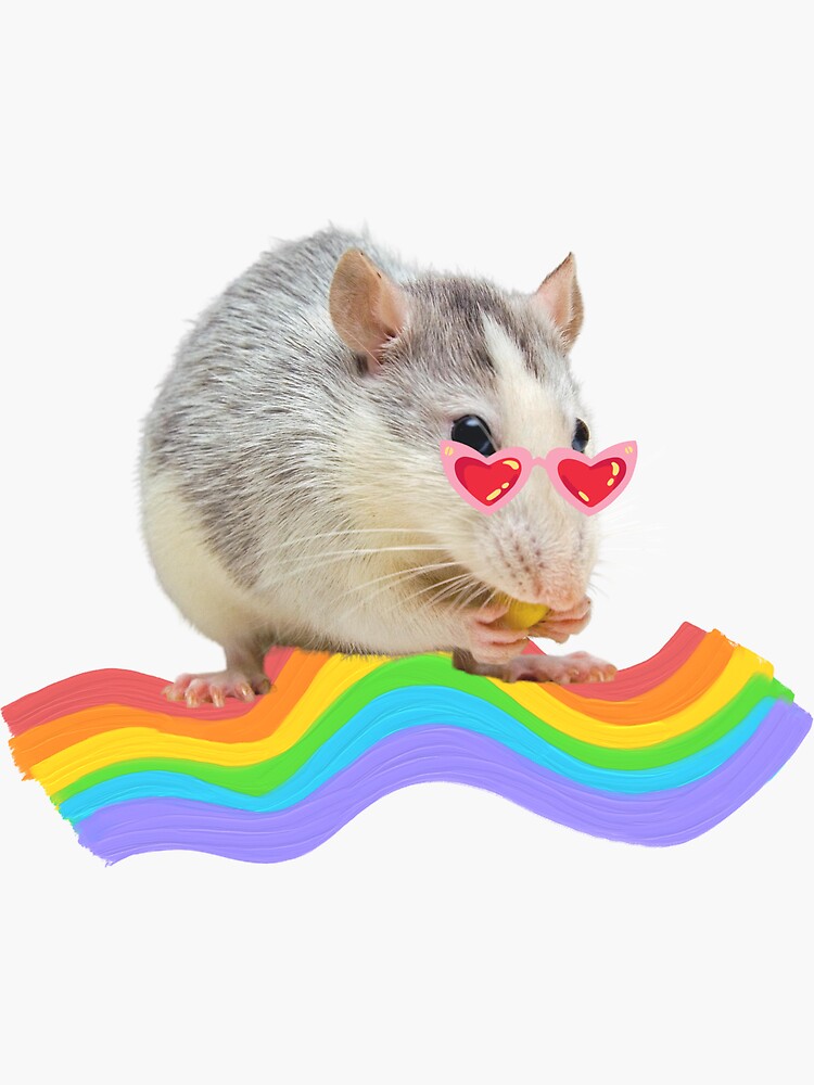 "rat retro rat swag rod vintage cute funny rainbow pets" Sticker for ...