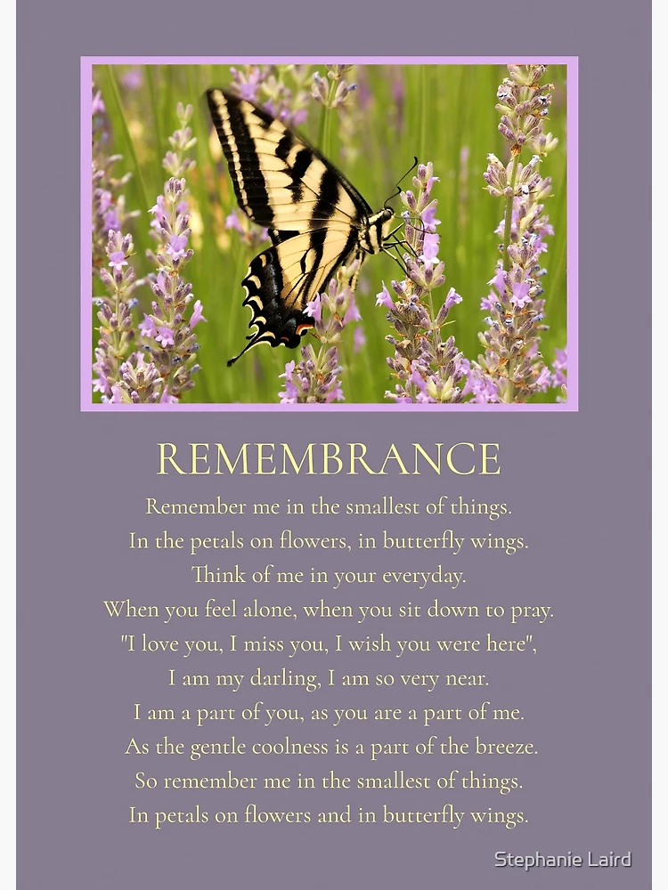 Butterfly Grief Poem I Never Left You Poem Sympathy Blanket For Loss