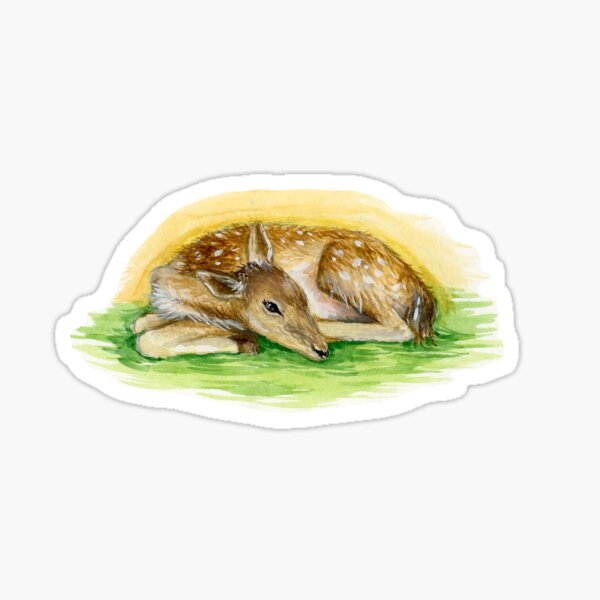 "Forest Fawn Painting" Sticker for Sale by Art-From-Oddity | Redbubble