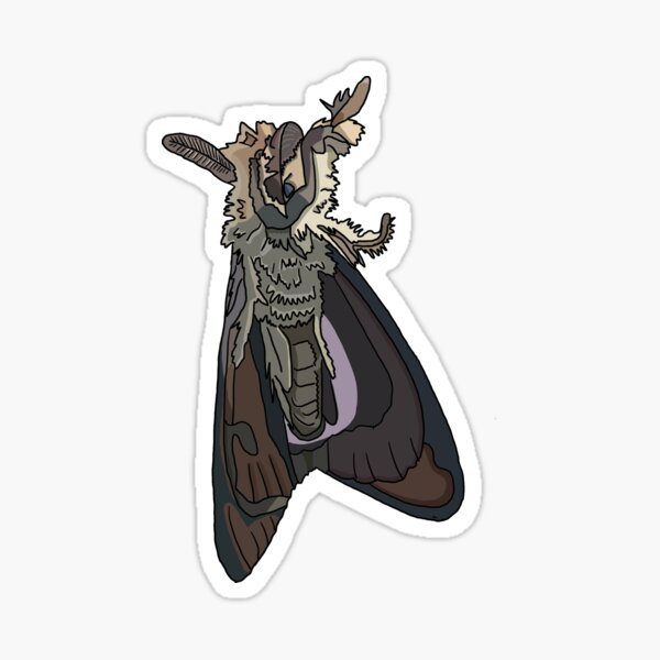 "Sneaky Moth" Sticker for Sale by designsSKA | Redbubble