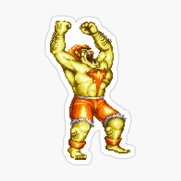 "BLANKA WINS" Sticker by PIXLTEES | Redbubble