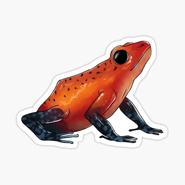 "Strawberry poison dart frog" Sticker for Sale by he-xie | Redbubble