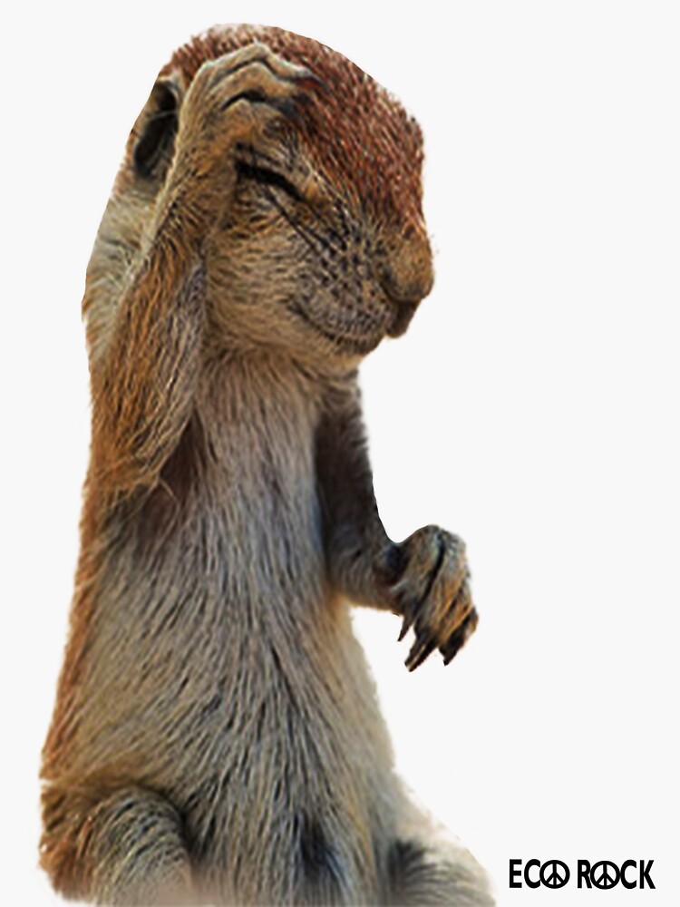 "Time does not stop !" Sticker for Sale by istoryka | Redbubble