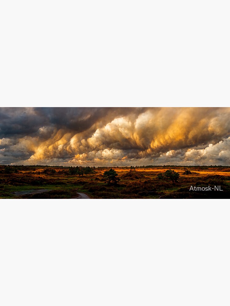 "National Park the Veluwe - Netherlands - Orange glow" Sticker for Sale ...