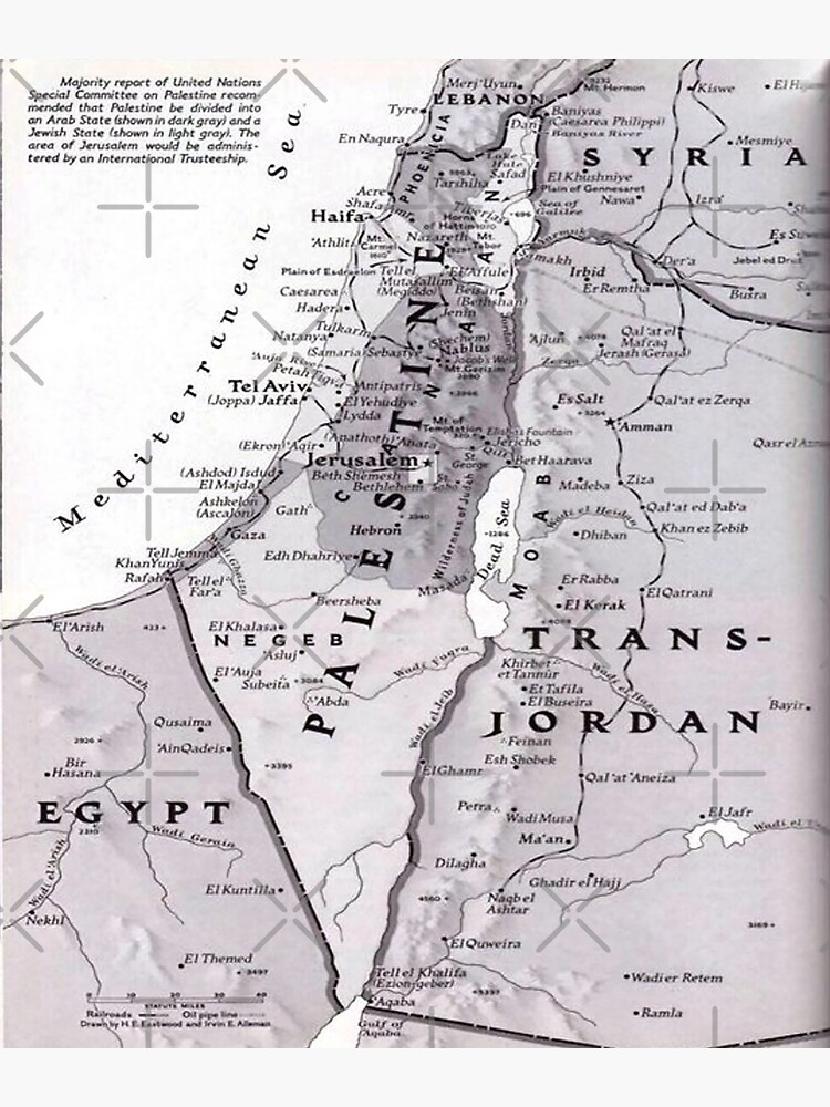 I Love Palestine Real Map Premium Matte Vertical Poster sold by Chris ...