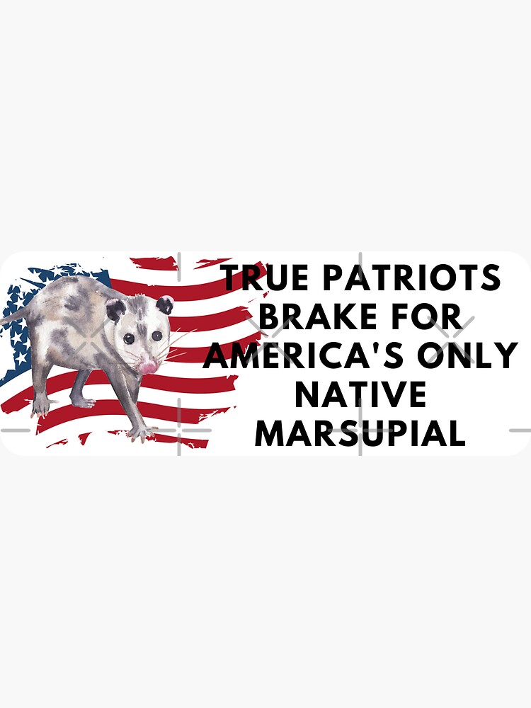 "Possum Sticker - I brake for America's only native marsupial - Funny ...