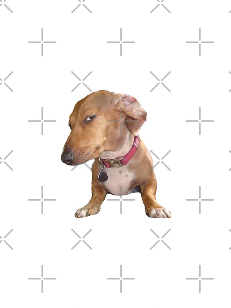 "Sus dog meme" iPhone Case for Sale by TheBigSadShop | Redbubble