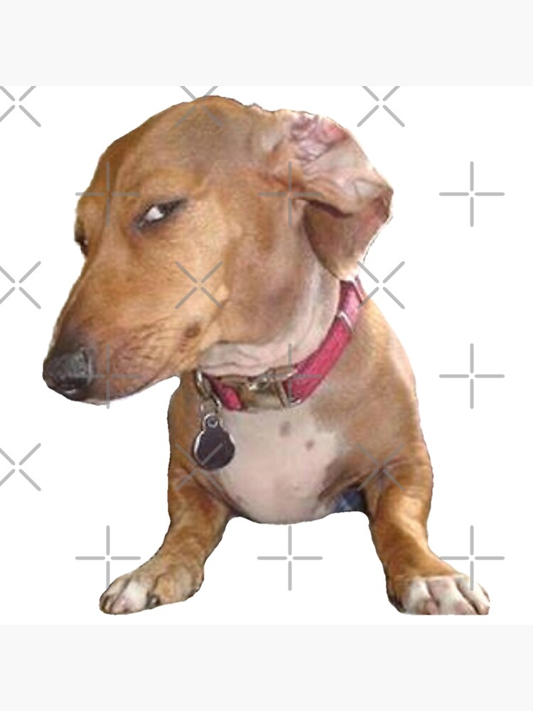 "Sus dog meme" Metal Print for Sale by TheBigSadShop | Redbubble