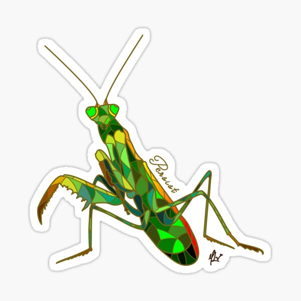 "Mantis for persistence" Sticker for Sale by mjz-artstudio | Redbubble