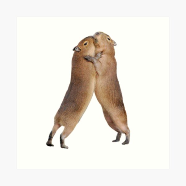 "Fighting Capybara- Hugging Capybara" Art Print for Sale by Typical ...