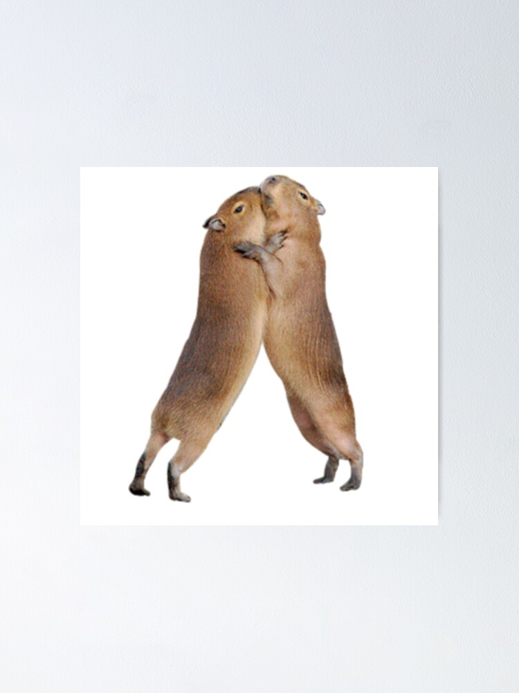 "Fighting Capybara- Hugging Capybara" Poster for Sale by Typical-Turd ...