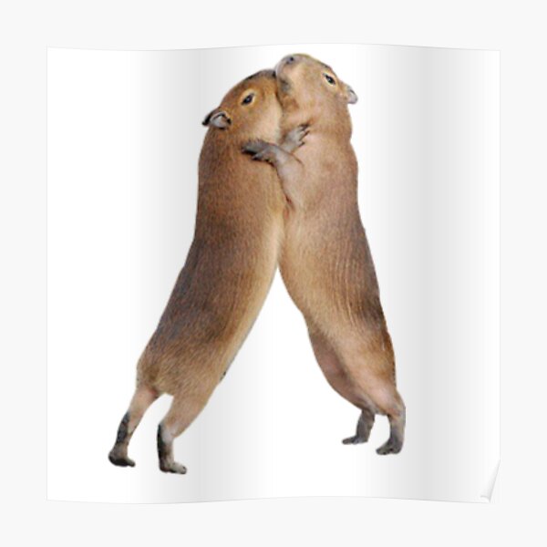 "Fighting Capybara- Hugging Capybara" Poster for Sale by Typical-Turd ...