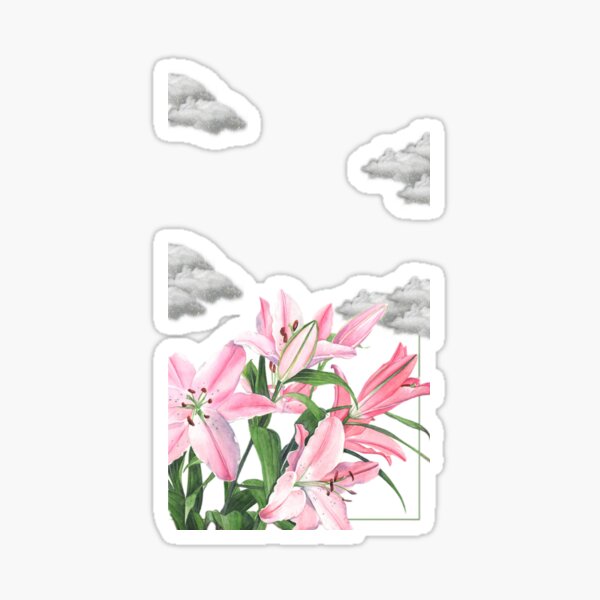 "Pink Lily flower" Sticker for Sale by Anemone98 | Redbubble