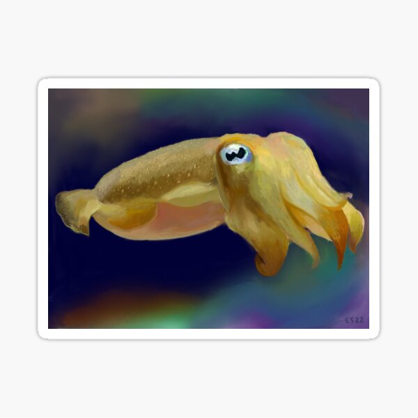 "Cuttlefish " Sticker for Sale by ellabarlow | Redbubble